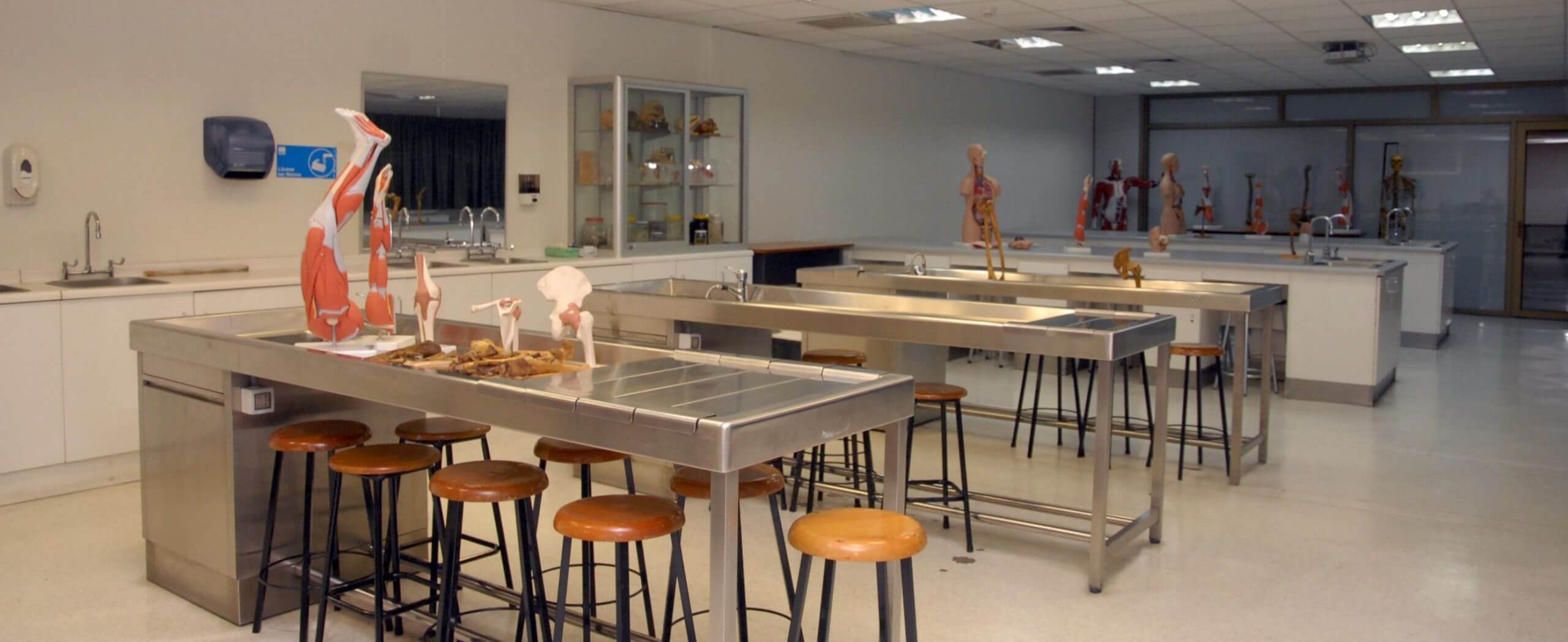 Other Services – Diego Portales University